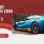 Top 5 Most Expensive Pig Breeds You Need To Know About