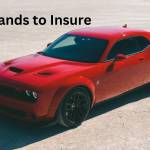 5 Most Expensive Insurance Companies (Are They Worth It?)