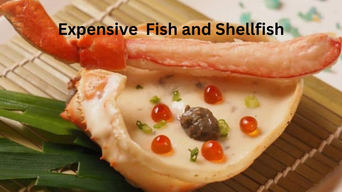 The Most Expensive Fish and Shellfish in the World
