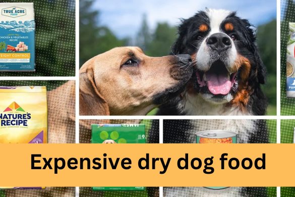 The Most Expensive Ingredients in The Culinary World